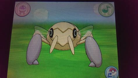 Got My First Member Of My Oras Team After 70 Eggs Shinypokemon