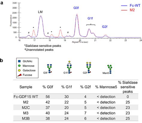 Fc Gdf15 Glyco Variants Contain Sialidase Sensitive Glycans A