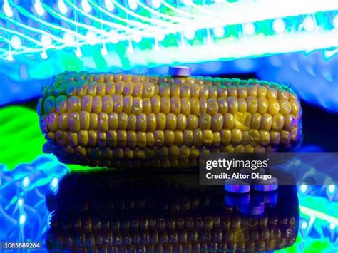 Bacteria Mutation Photos And Premium High Res Pictures Getty Images