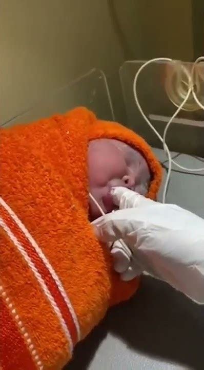 កូនជ្រូក🐷 Youtube