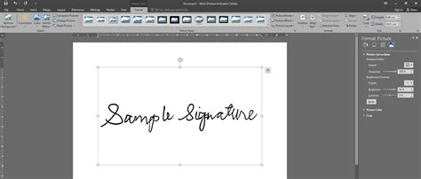 How To Make Digital Signature Using Microsoft Word Nucleio Information Services
