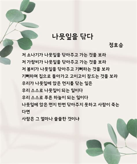 정호승 정호승 시 시 추천