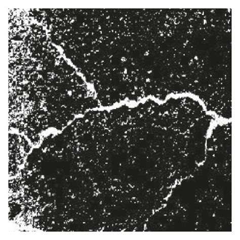 Visualization Results Of Segmentation Detection A Input Image B