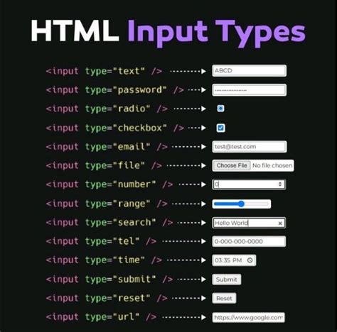 The Input Element In Html Is A Versatile And Essential Part Of Web
