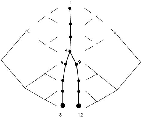 segment based parallelism the calculation for node 8 involves only
