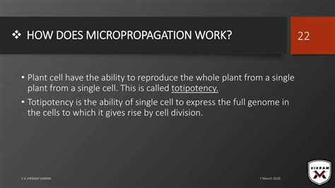 Micropropagation Of Medicinal And Aromatic Plants Clonal Propagation Pptx Micropropagation Of Medicinal And Aromatic Plants Clonal Propagation Pptx