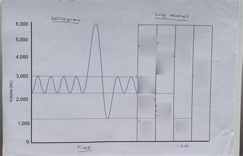 Lab Final Practical Spirometer Diagram Quizlet