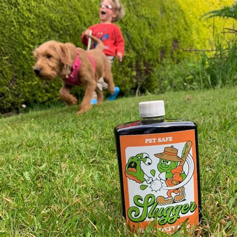 Introducing Slugger The Innovative Solution To Controlling Slugs And