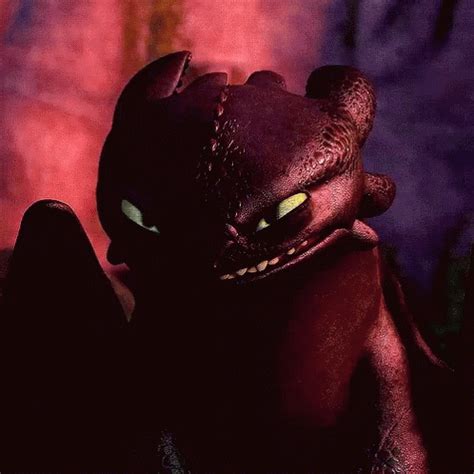 How To Train Your Dragon Toothless  How To Train Your Dragon