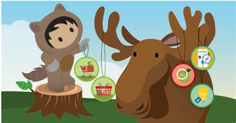 Do You Really Know The Salesforce Trailhead Characters Salesforce Ben