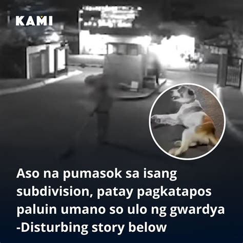 Ph Ayon Sa Gwardya May Sugat Na Umano Ang Aso Nang Pumasok Sa Subdivision 😞 Details