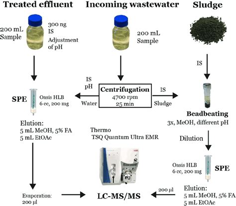 Schematic Overview Of The Analytical Sample Preparation Workflow Used Download Scientific