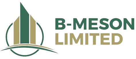 B Meson Ltd
