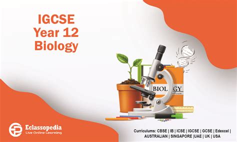 Igcse Year 12 Biology 0610 → Enzyme Structure And Function