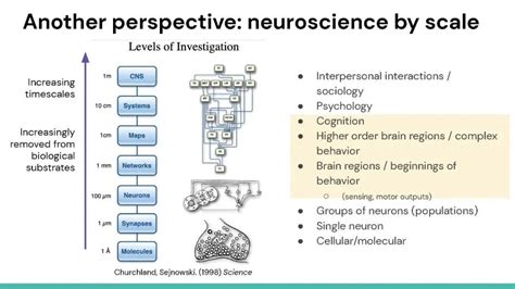 神经科学如何影响人工智能？看deepmind在neurips2020最新《神经科学人工智能》报告，126页ppt csdn博客