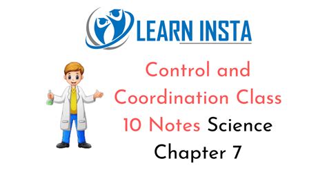 Control And Coordination Class 10 Notes Science Chapter 7