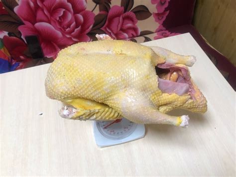 Продам мясо утки 550₽ кг Все вопросы в личку купи продай невель ВКонтакте