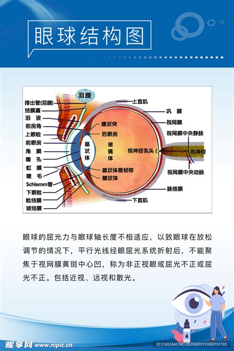 眼球结构图设计图 广告设计 广告设计 设计图库 昵图网