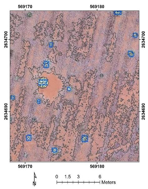 Segmentation Of The Image Of An Agave Agave Durangensis Crop By The Download Scientific