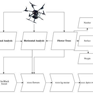 Horizontal Flower Surface In Percent Maximum Is 30 White And Download Scientific Diagram