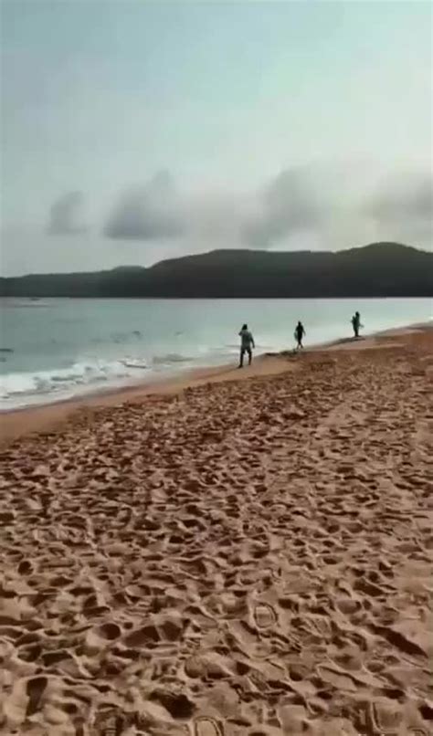 The Mandible Pull Technique Album On Imgur