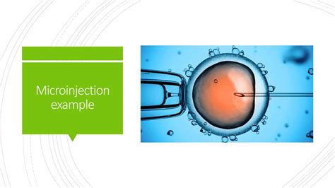 Genetic Engineering Nate Belle And Kaitlin Ppt Download