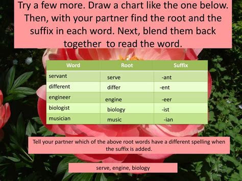 Ppt Decodingword Attack Structural Analysis Suffixes Ant Ent
