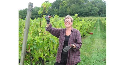 От гроздобера зависи и вкуса на виното Български Фермер