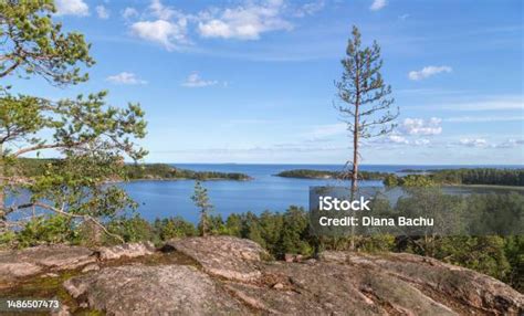 호수 또는 바다 전망의 풍경 녹색 숲입니다 저수지 기슭에 침엽수 림 여름 풍경입니다 맑고 따뜻한 날씨 데스크탑 화면 보호기 자연과 함께하는 여름 배경 푸른 하늘 야외