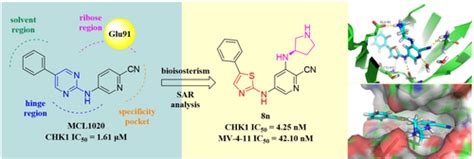 Design Synthesis And Biological Evaluation Of 2‐aminothiazole Derivatives As Novel Checkpoint