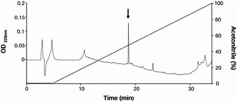 Reversed Phase Hplc Elution Profile Of The 40 Isopropanol Sep Pak Download Scientific Diagram