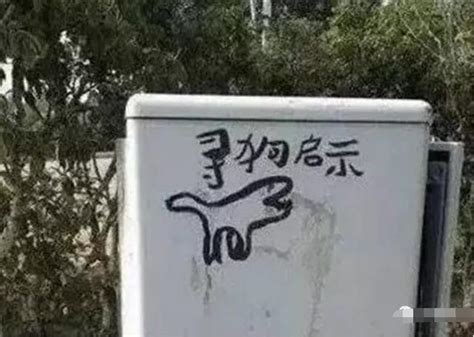 這麼開玩笑的尋狗啟事，確定真能找到狗？還真找到了 每日頭條