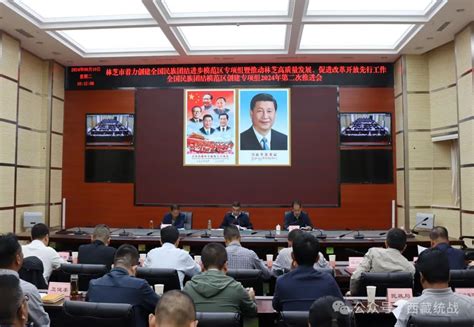 林芝市召开着力创建全国民族团结进步模范区专项组2024年第二次推进会民族宗教西藏统一战线