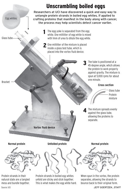 Unboil Egg Proteins Vortex Fluid Device Illustration Uc Irvine News
