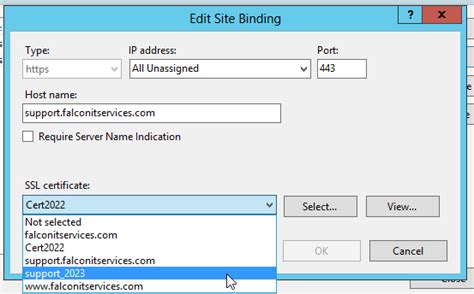 Set Up An SSL Certificate For IIS Step By Step Managed IT Services Miami