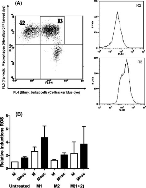 Production Of Reactive Oxygen Species Panel A Representative Facs Download Scientific Diagram