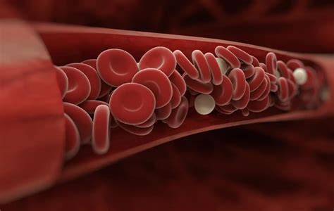 Eritrosit Tinggi Gejala Penyebab Pengobatan Hello Sehat