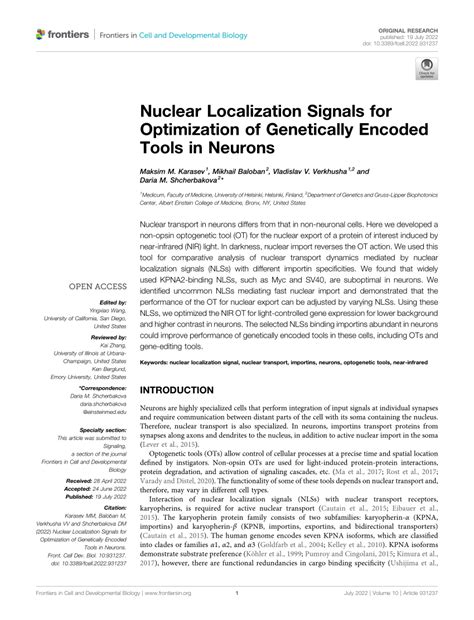 Pdf Nuclear Localization Signals For Optimization Of Genetically Encoded Tools In Neurons
