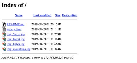 Broken Gallery VulnHub