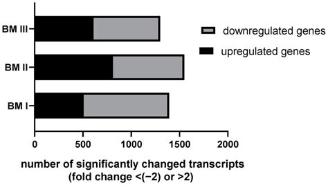 The Transcriptome Of Pt And Bm Iiii Was Analyzed And Up Or Download Scientific Diagram