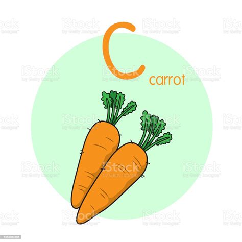 알파벳 문자 c 어퍼 케이스 또는 어린이 학습 연습 abc를위한 대문자당근의 벡터 그림 0명에 대한 스톡 벡터 아트 및 기타