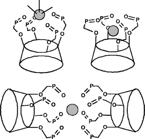 Scheme Representation Of The Solution Structure Of The Solution Download Scientific Diagram