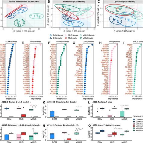 Sexually Dimorphic Molecules Maintain Sex And Strain Specific Odour Download Scientific