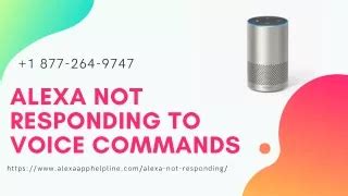 PPT Why Is My Alexa Wont Turn On 1 8007956963 Alexa Not Turning On PowerPoint Presentation