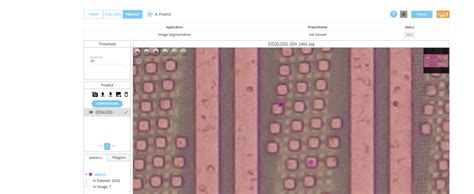 semiconductor defect detection with bright field microscopy and dark