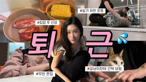 Vlog 을지로 직장인 브이로그ㅣ그릭 요거트 김 싸서 먹어 봤어 ㄹㅇ 존맛ㅣ길냥이한테 간택당한 듯ㅣ퇴근 후 운동하고