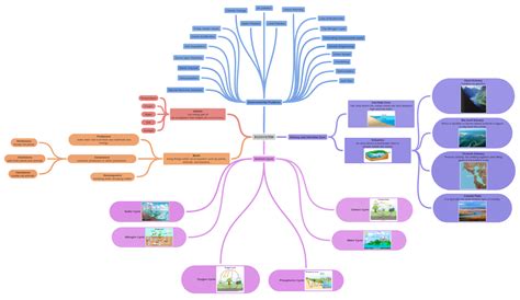 Ecosystem Coggle Diagram