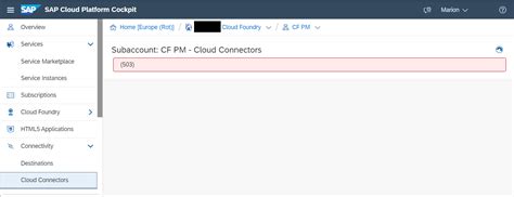 solução para o erro 503 no scp cloud foundry com cloud connector sap