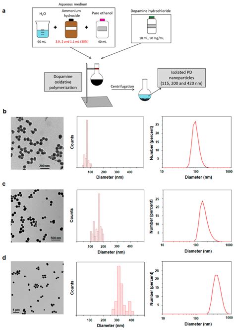 A Schematic Representation Of Pd Nps Synthesis By Dopamine Oxidative Download Scientific
