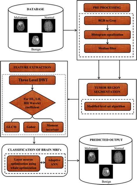 Schematic Diagram Of The Proposed Method For Mri Brain Tumor Download Scientific Diagram